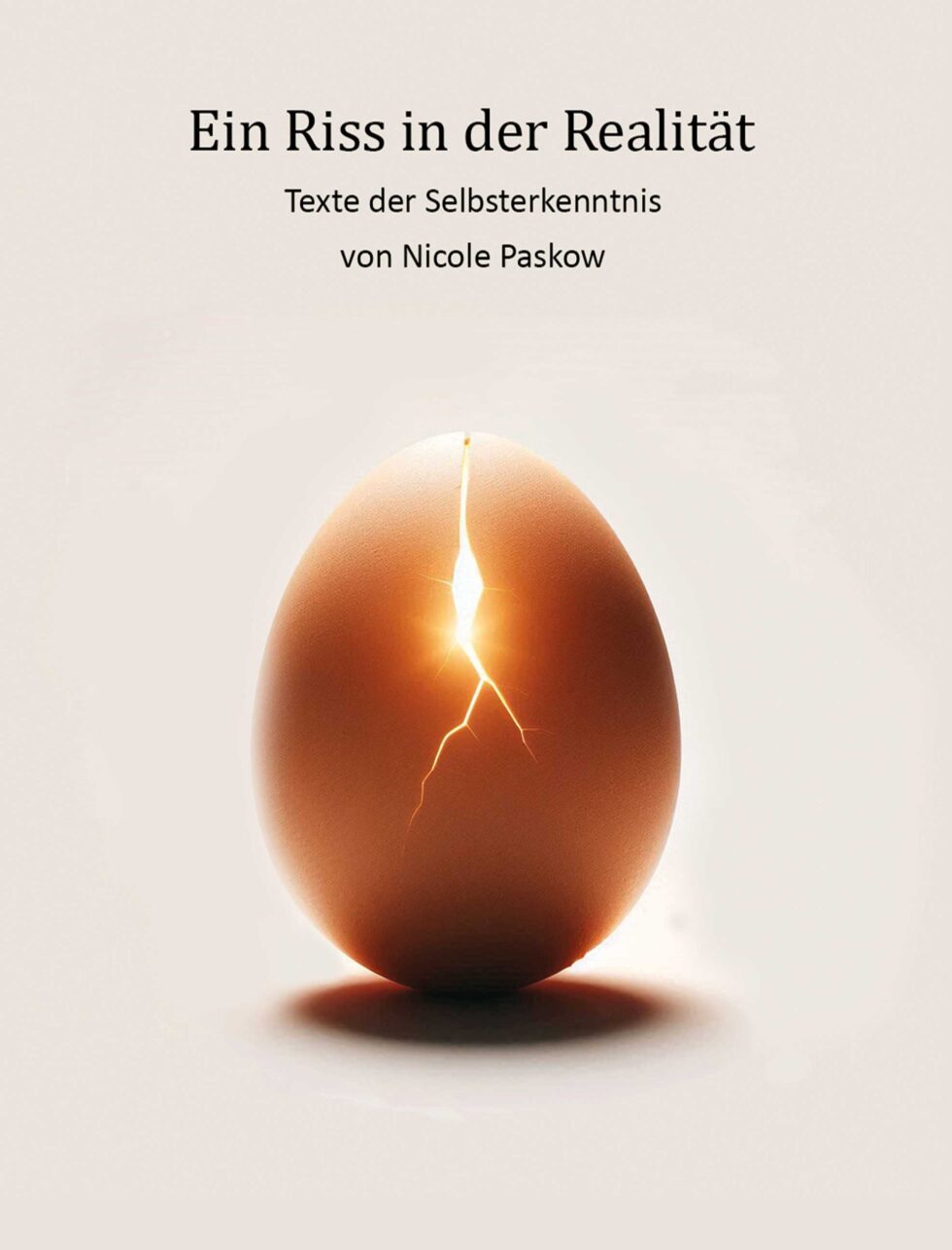 Karl Renz: Wenn die Suche endet, bevor sie begonnen hat - nicolepaskow.de